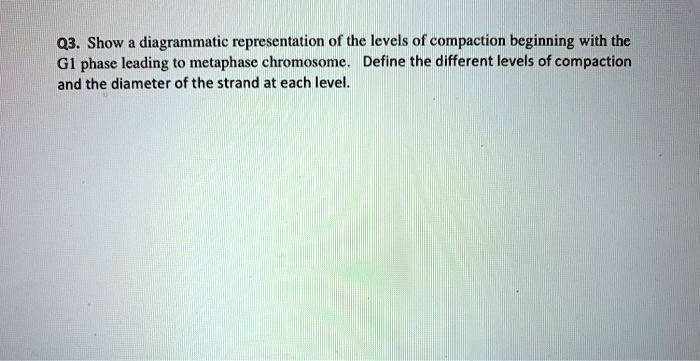03 show diagrammatic representation of the levels of compaction ...