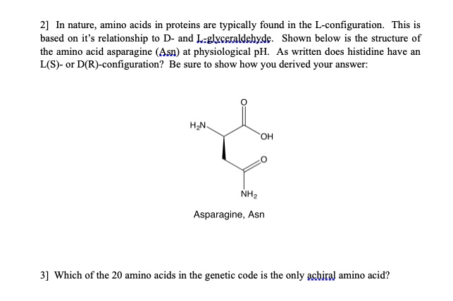 in nature amino acids in proteins are typically found in the l ...