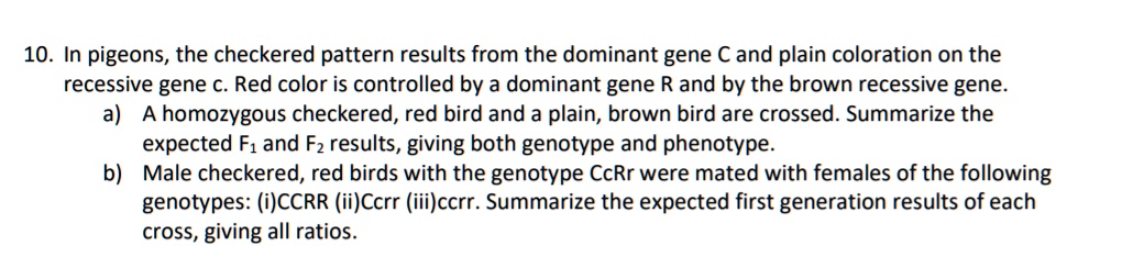 10 in pigeons the checkered pattern results from the dominant gene c ...