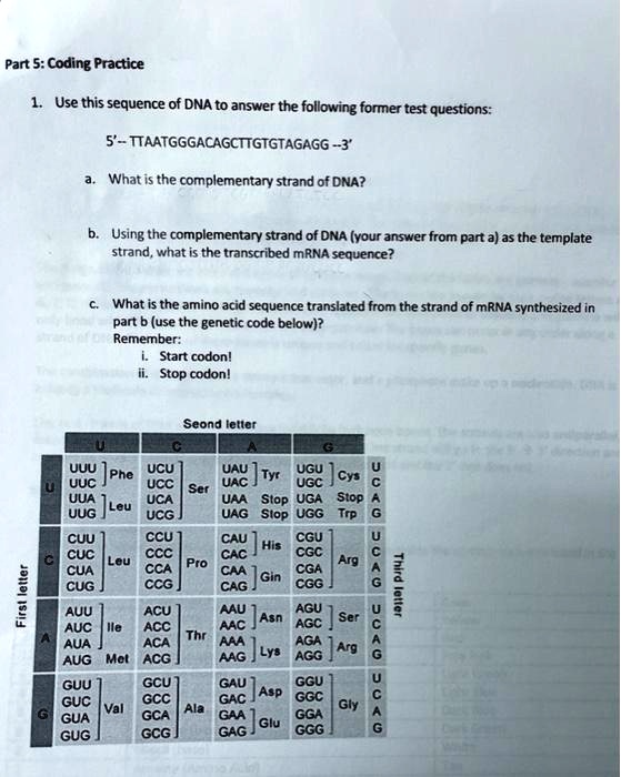 SOLVED: Part 5: Coding Practice Use this sequence of DNA to answer the ...