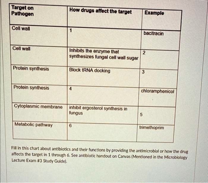 SOLVED: Target on Pathogen How drugs affect the target Example Cell wall bacitracin Inhibits the ...