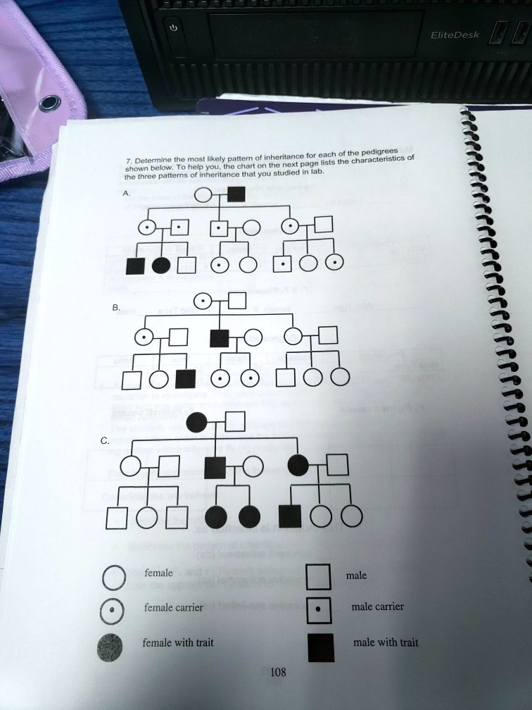 EliteDesk For each of the pedigrees most likely put forth on ...