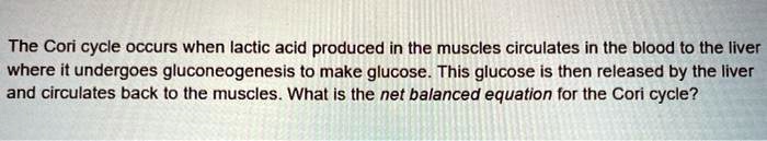 the cori cycle occurs when lactic acid produced in the muscles ...