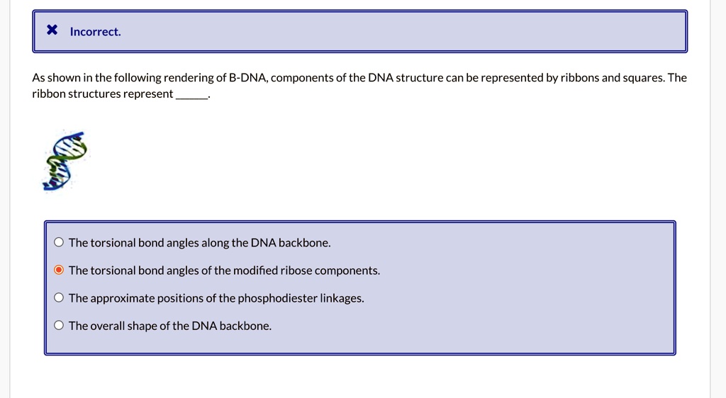 SOLVED: As shown in the following rendering of B-DNA, components of the ...
