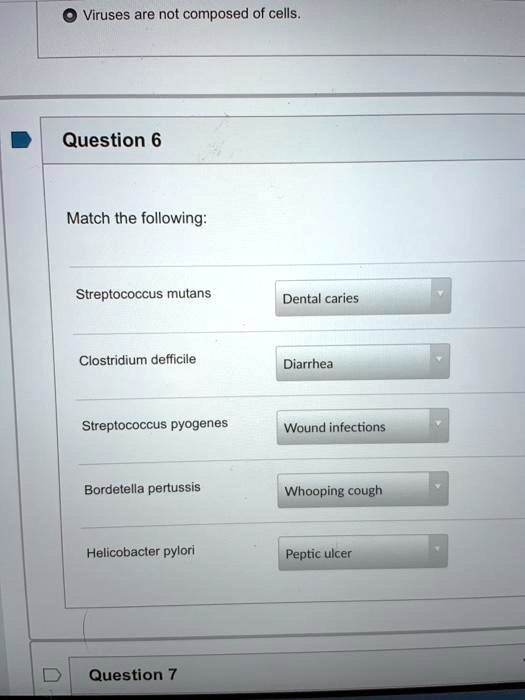 SOLVED: Viruses are not composed of cells Question 6 Match the ...