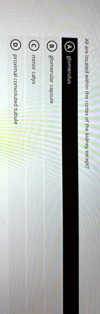 All are located within the cortex of the kidney except? glomerulus ...