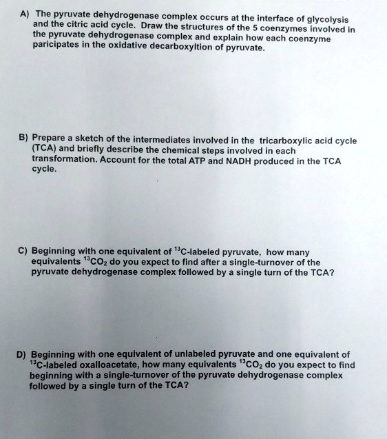 A) The pyruvate dehydrogenase complex occurs at the interface of ...