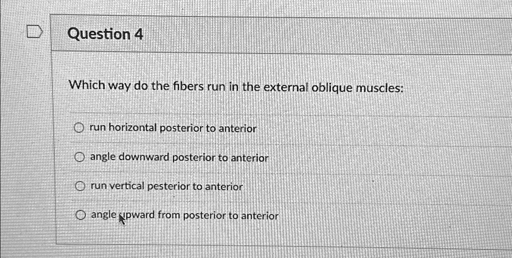 Question 4 Which way do the fibers run in the external oblique muscles ...