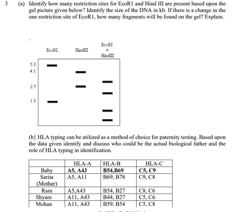 SOLVED: Identify how many restriction sites for EcoRI and HindIII are ...