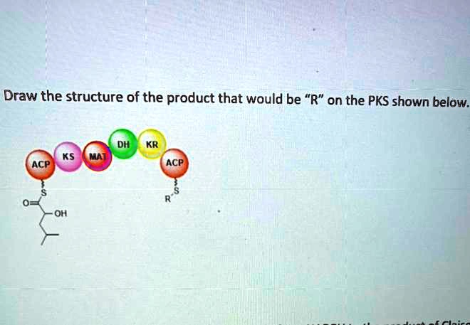 Draw the structure of the product that would be "R" on the PKS shown ...