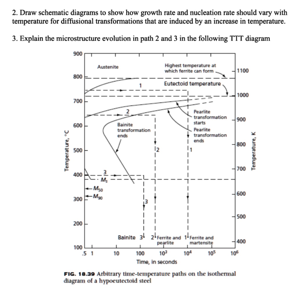 SOLVED: 2. Draw schematic diagrams to show how growth rate and ...
