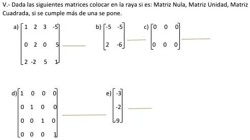 V.- Dada las siguientes matrices colocar en la raya si es: Matriz Nula ...