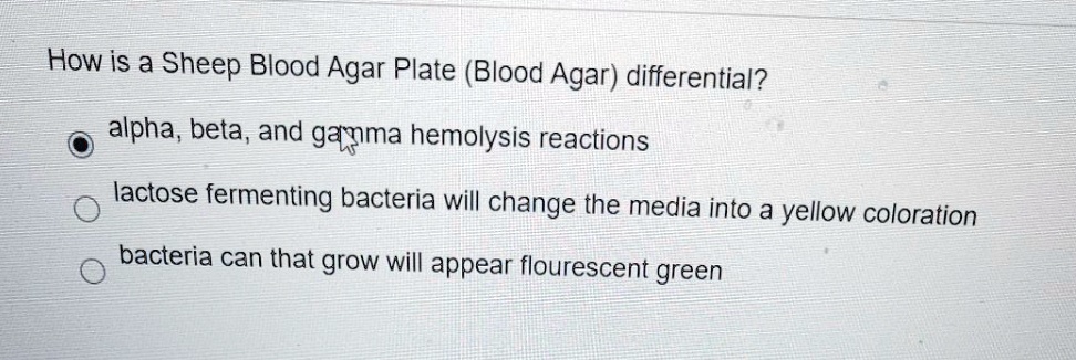 How is a Sheep Blood Agar Plate (Blood Agar) differential? alpha, beta ...