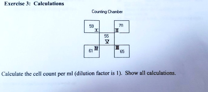 SOLVED: Exercise 3: Calculations Counting Chamber Calculate the cell ...