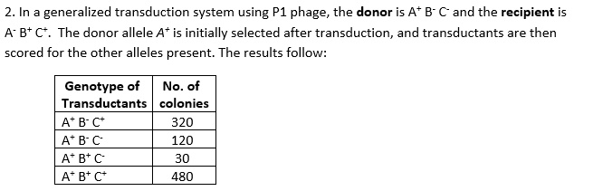SOLVED: In a generalized transduction system using P1 phage, the donor is A B C and the ...
