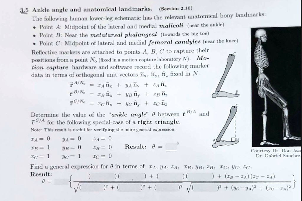 fully solve problem 35 35 ankle angle and anatomical landmarkssection ...