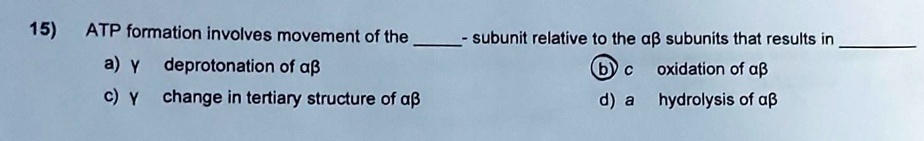 15) ATP formation involves movement of the subunit relative to the a ...