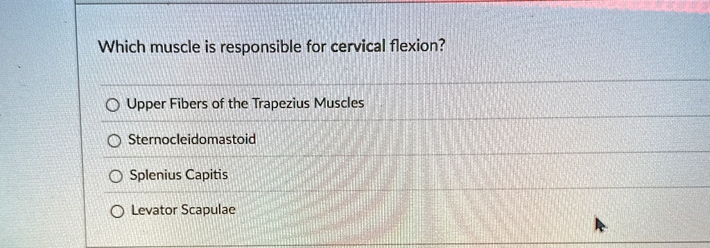 which muscle is responsible for cervical flexion upper fibers of the ...