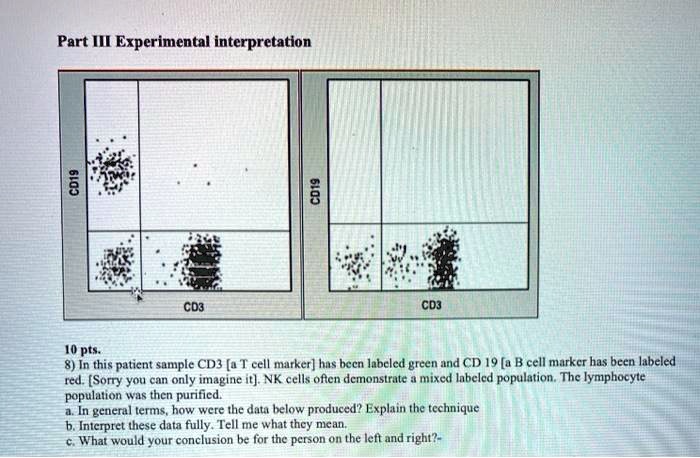 SOLVED: Part III Experimental interpretation 3 8 CDJ CDJ 10 pts. 8) In this patient sample CD [4 ...