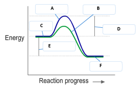Match each letter with the correct description. A B C D E F Curve that ...