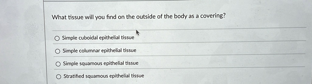 What tissue will you find on the outside of the body as a covering ...
