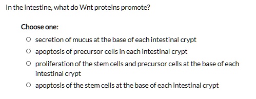 SOLVED: In the intestine; what do Wnt proteins promote? Choose one ...