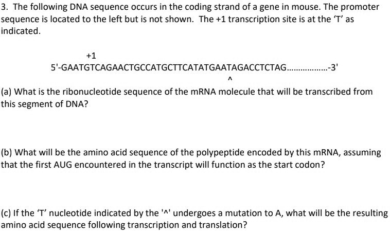 SOLVED: The following DNA sequence occurs in the coding strand of a ...