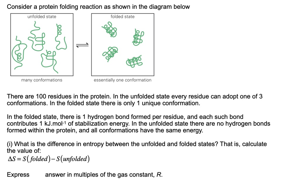 SOLVED: Consider a protein folding reaction as shown in the diagram ...