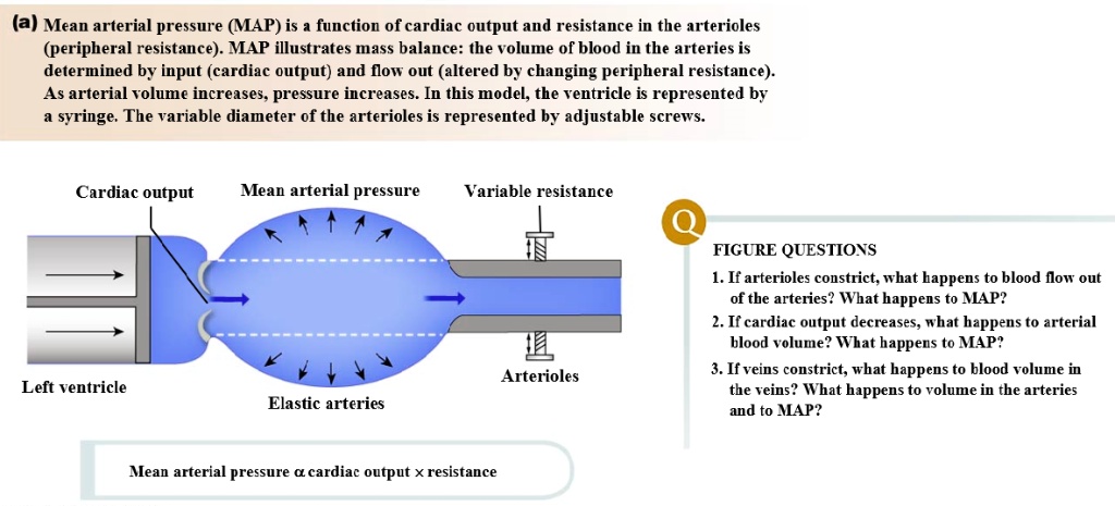 a mean arterial pressure map is function of cardiac output and ...