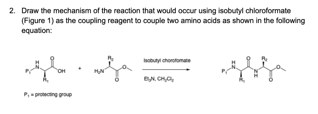 2. Draw the mechanism of the reaction that would occur using isobutyl ...
