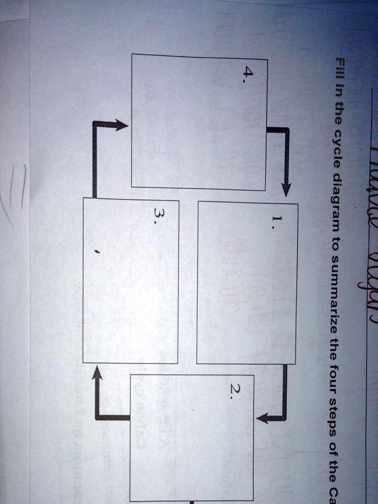 SOLVED: 'What are the four steps of the Calvin Cycle? Fill in the cycle ...