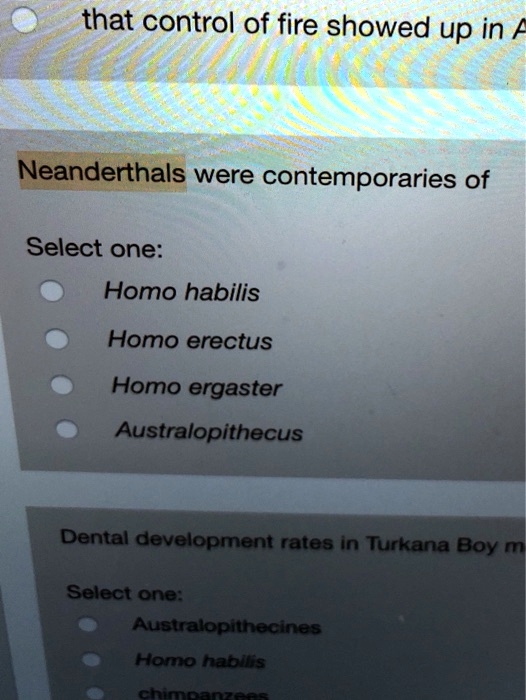 The control of fire showed up in Neanderthals, who were contemporaries ...
