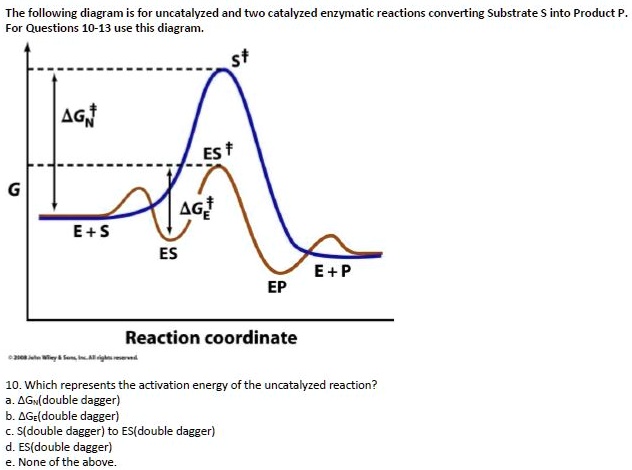 SOLVED: The following diagram is for uncatalyzed and two catalyzed ...