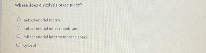 Where does glycolysis takes place? mitochondrial...