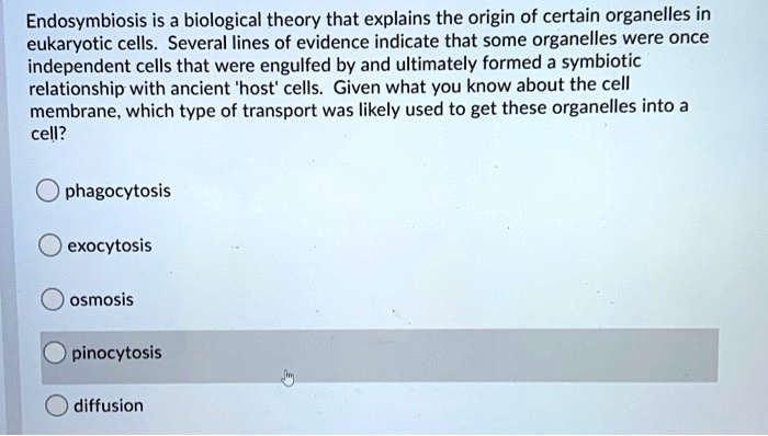 endosymbiosis is a biological theory that explains the origin of ...