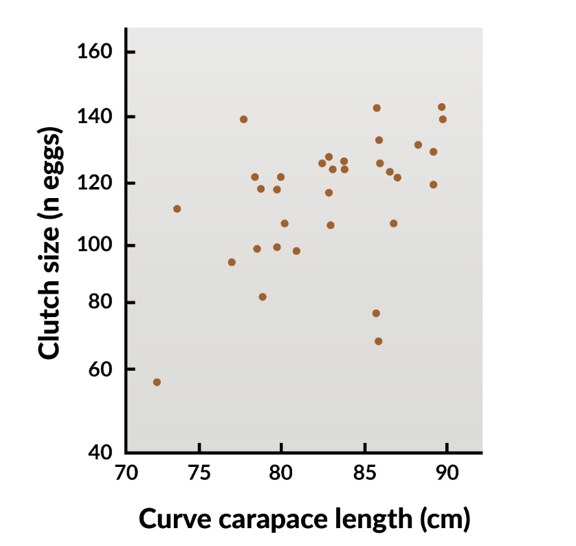 SOLVED: In a study, the null hypothesis is given as “clutch size does ...