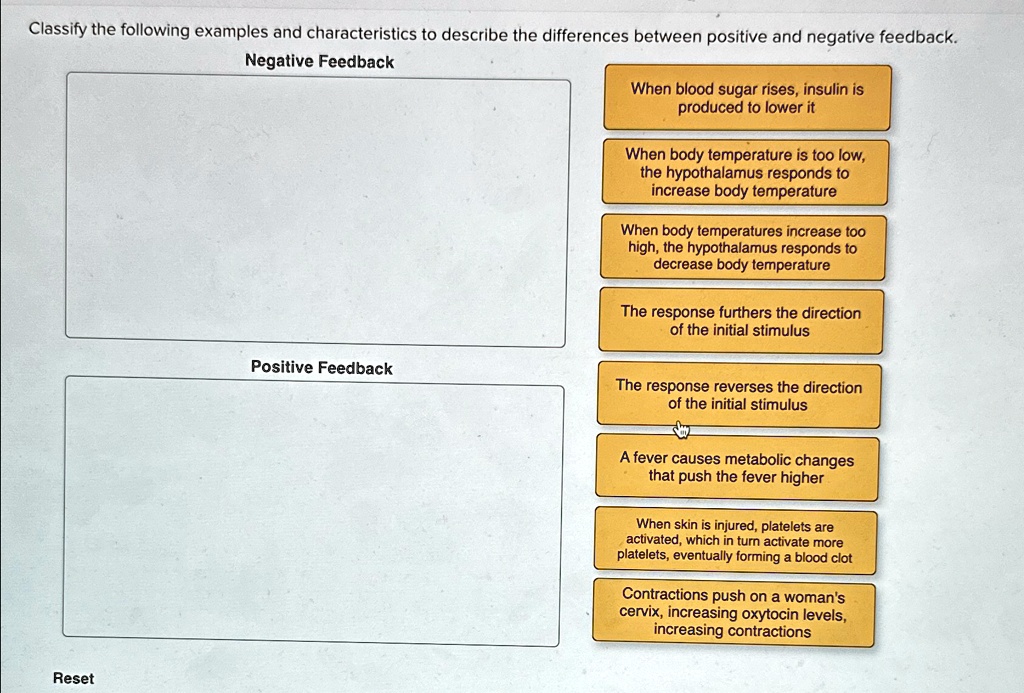 Classify the following examples and characteristics to describe the differences between positive ...
