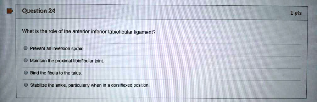 Question 24 What Is The Role Of The Anterior Inferior Tabiofibular