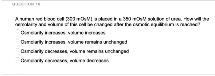 QUESTION 16 A human red blood cell (300 mOsM) is placed in a 350 mOsM solution of urea. How will ...