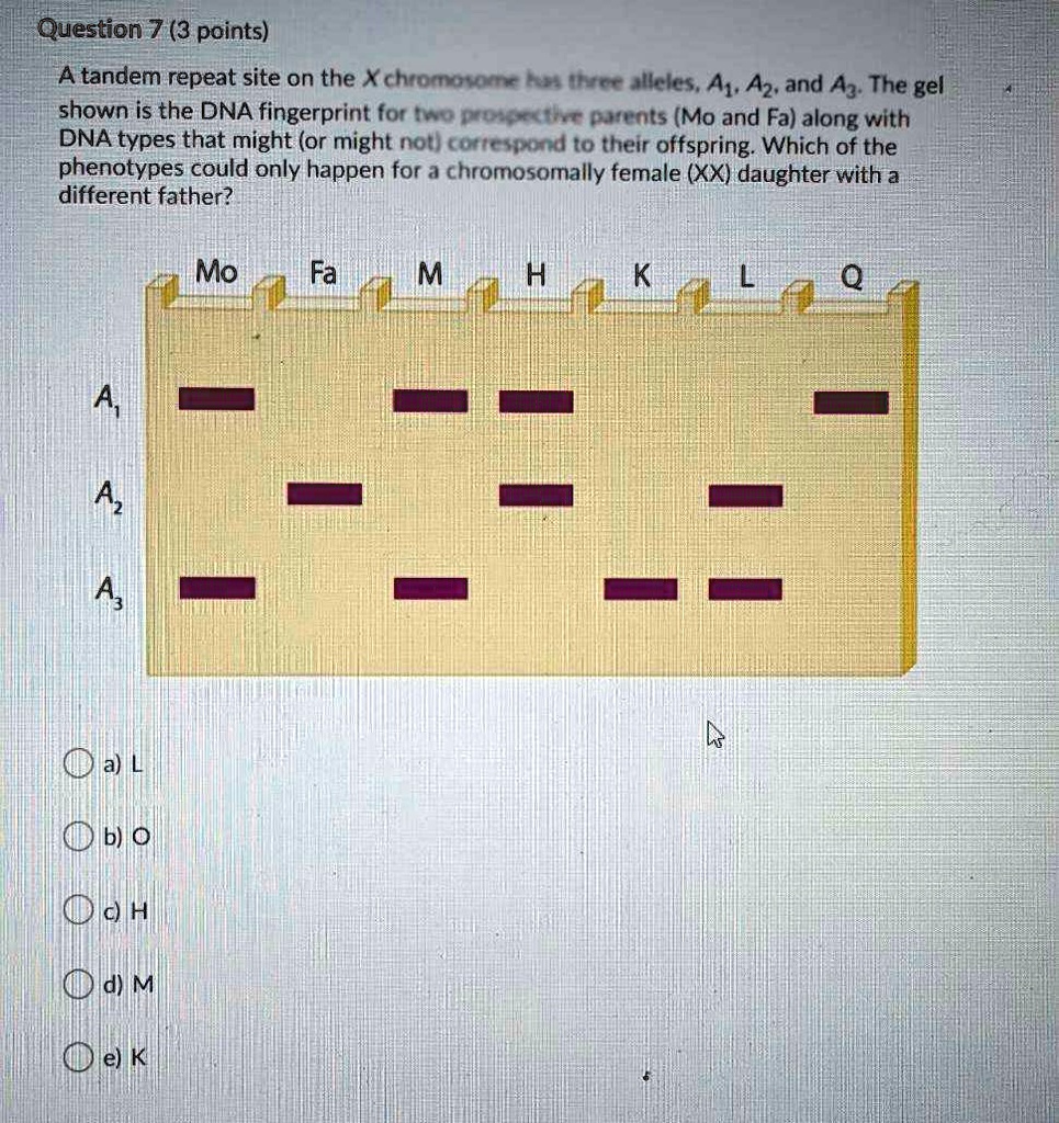 [GET ANSWER] Question 7 (3 points) A tandem repeat site on the X ...