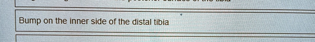 bump on the inner side of the distal tibia bump on the inner side of ...