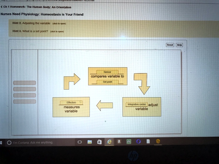 Ch 1 Homework: The Human Body: An Orientation Nurses Need Physiology ...
