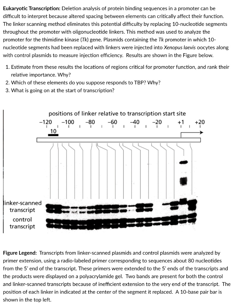 SOLVED: Eukaryotic Transcription: Deletion analysis of protein binding sequences in a promoter ...