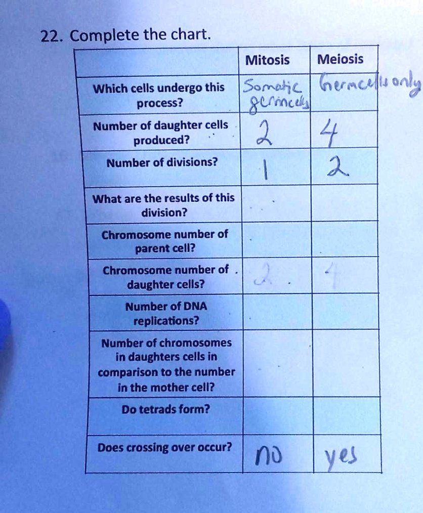 22. Complete the chart. Mitosis Meiosis Which cells undergo this ...