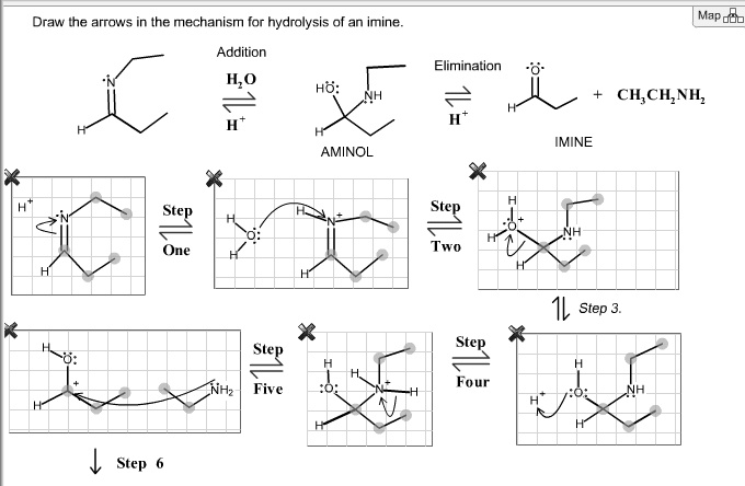 Draw the arrows in the mechanism for hydrolysis of an imine. Addition ...