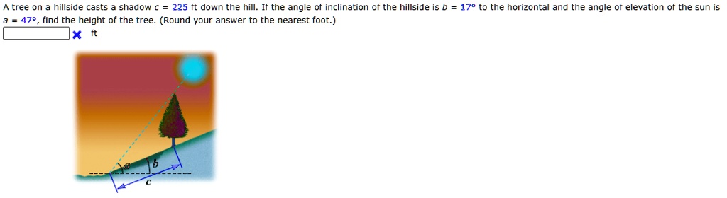 SOLVED: A tree on a hillside casts a shadow c = 225 ft down the hill ...