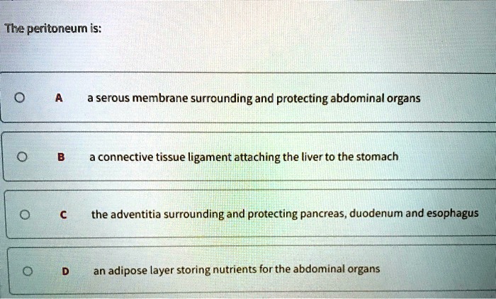 The peritoneum is: A a serous membrane surrounding and protecting ...