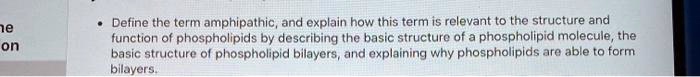 SOLVED: Define the term amphipathic and explain how this term is ...