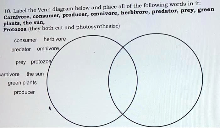 SOLVED: And place all of the following words in it: 10. Label the Venn ...