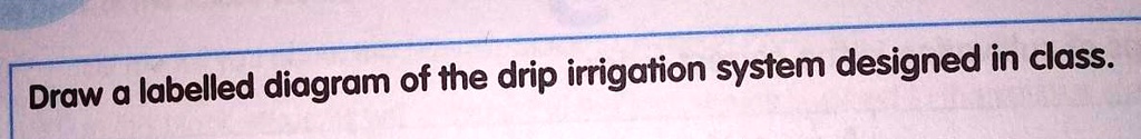 Draw a labelled diagram of the drip irrigation system designed in class.
